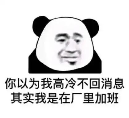 暴走熊猫现在叫什么图标