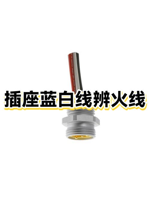 蓝线和白线哪个是火线截图