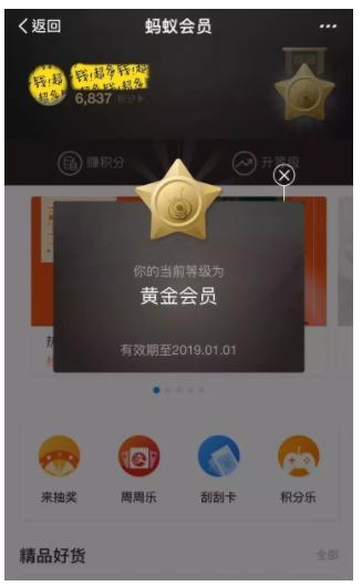 蚂蚁会员是什么图标