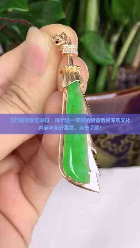 玉竹的寓意和象征截图