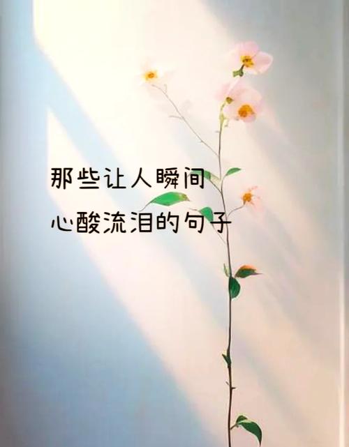 一眼就让人心动的句子图标