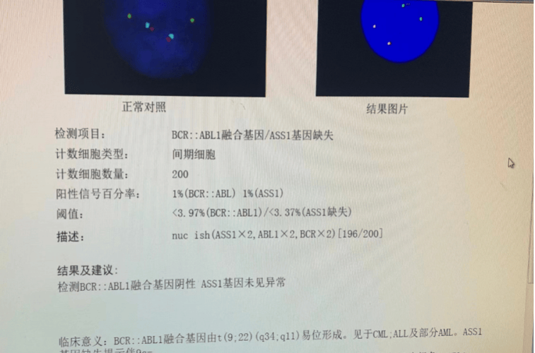 fish检测准确率图标