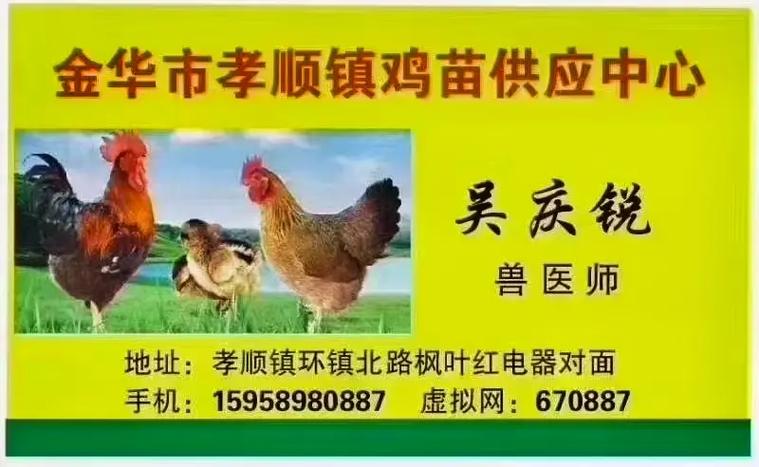 活鸡出售联系电话图标