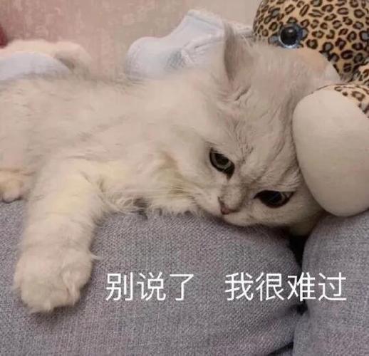 委屈表情包 想哭