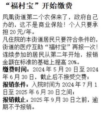 福村宝个人缴费查询