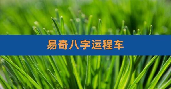 易奇八字免费算命2023运程车图标