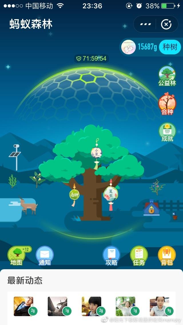 蚂蚁森林 能量保护罩图标