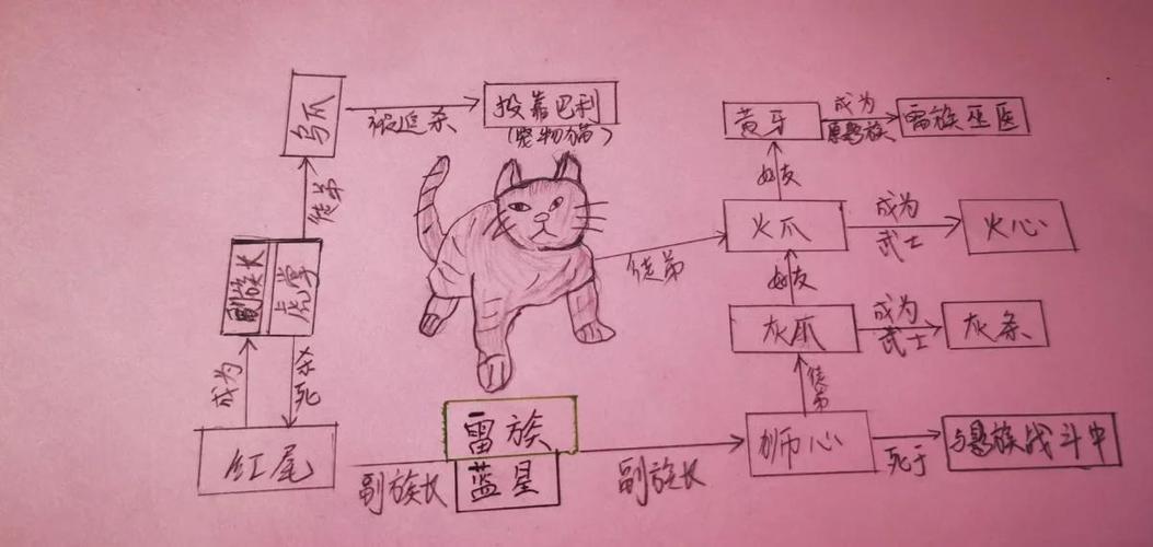 猫武士很猎奇的关系