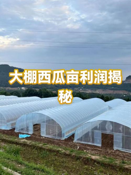 西瓜视频一天赚多少钱图标