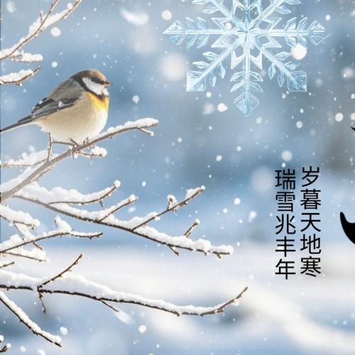 张瑞雪图标