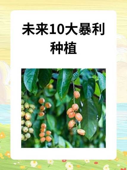 未来10大暴利种植图标