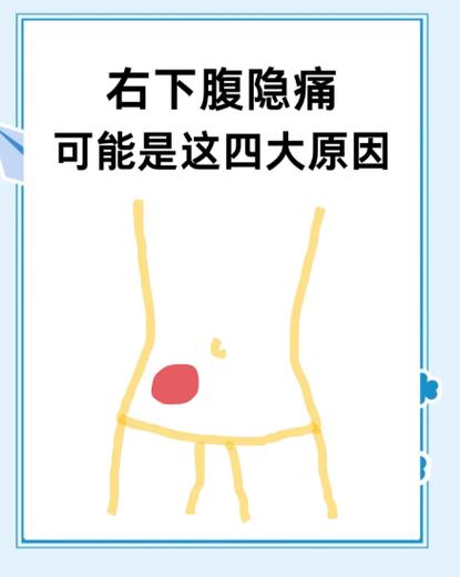 肚子疼的原因图标