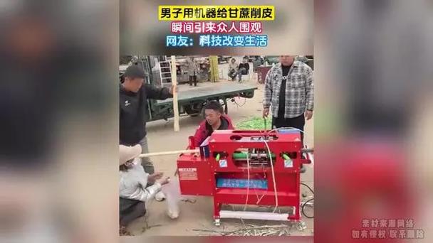 甘蔗削皮机全自动最新款图标