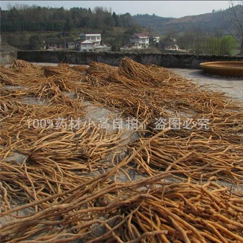 铁扫帚根的功效与作用图标