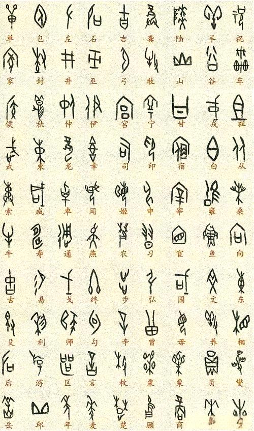 古文字查询网站图标