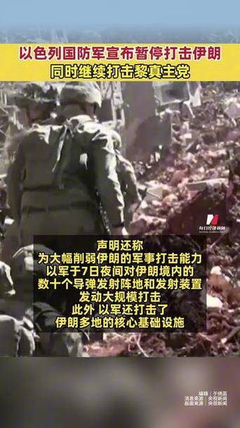 以宣布暂停打击伊朗图标