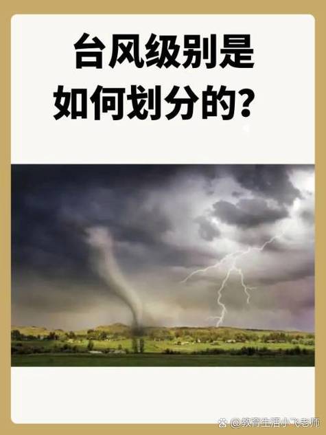 热带风暴挠痒痒截图