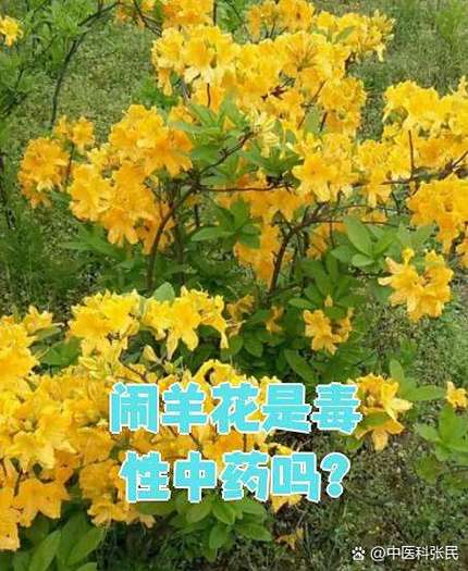 中医中的毒是指什么截图