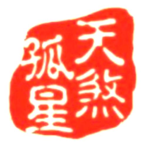 天煞孤星图标