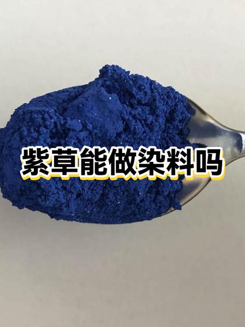 泰拉瑞亚紫染料图标