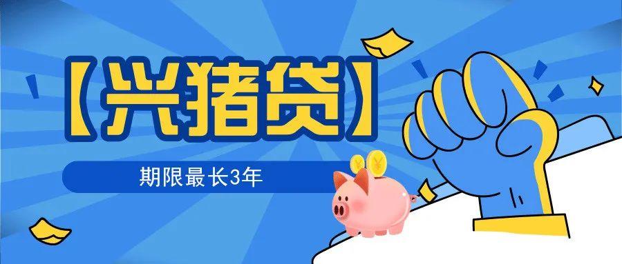 猪小贷靠谱吗图标