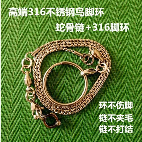 鹦鹉脚环号对照表图标