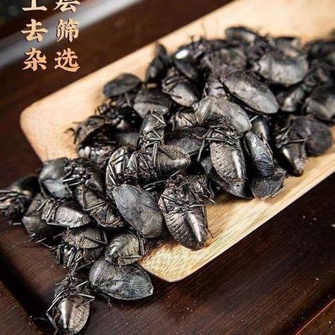 九香虫治哪种胃病了图标