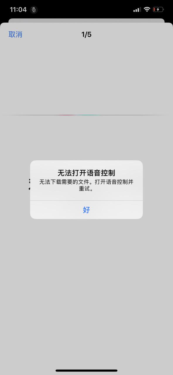 无法打开语音控制无法下载截图