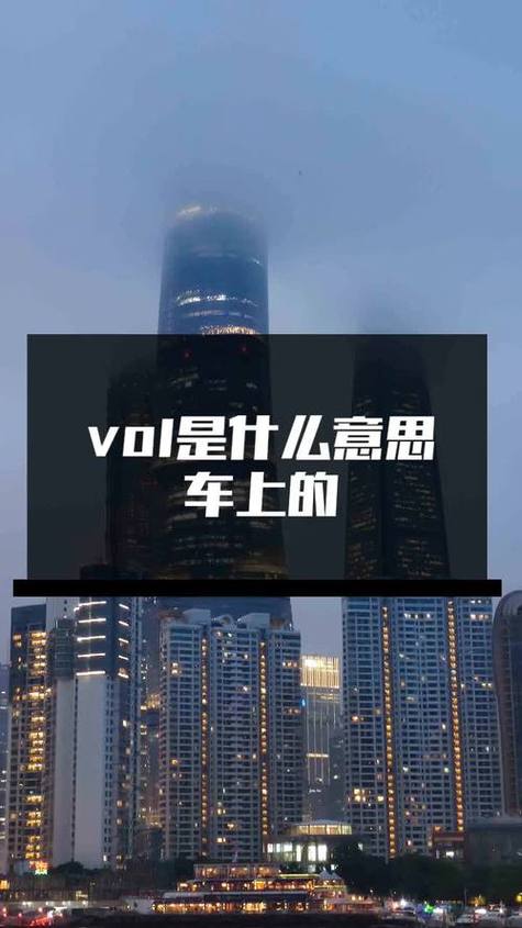 vol是什么意思饭圈图标