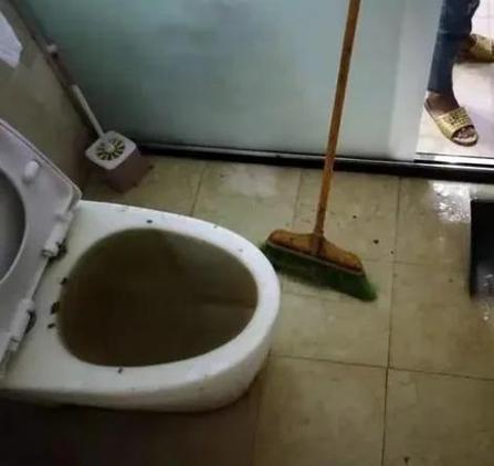 马桶冒水泡,咕噜咕噜响截图