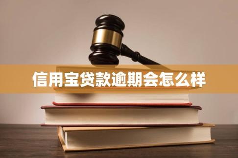 信用宝贷款截图