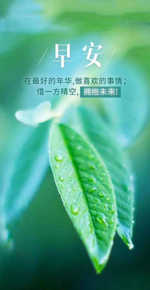 经典心灵鸡汤好句图标