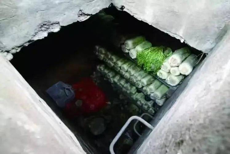 挖菜窖最忌讳三个地方图标
