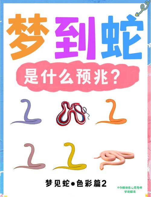 碰到蛇横穿马路是什么预兆图标