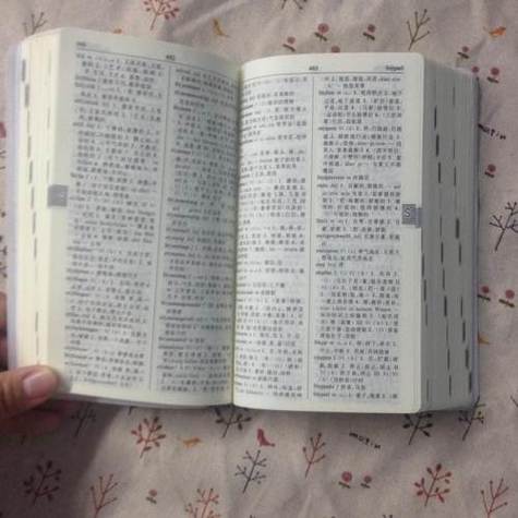 德语词典在线图标
