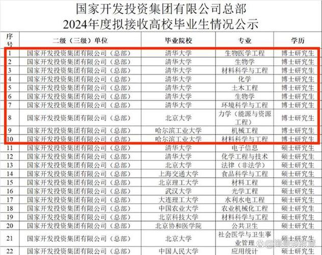 国投集团是什么级别图标