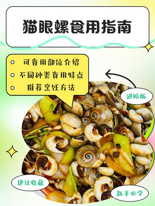 海螺除了壳都吃了有事吗图标