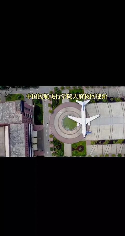 成都2021年出生人口图标