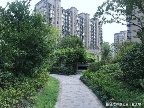 阳光家园在华为能下载吗图标