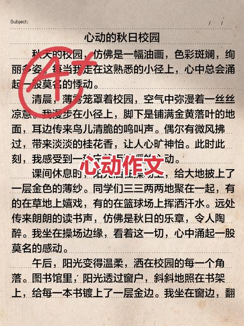 我室友总在OW里撩我