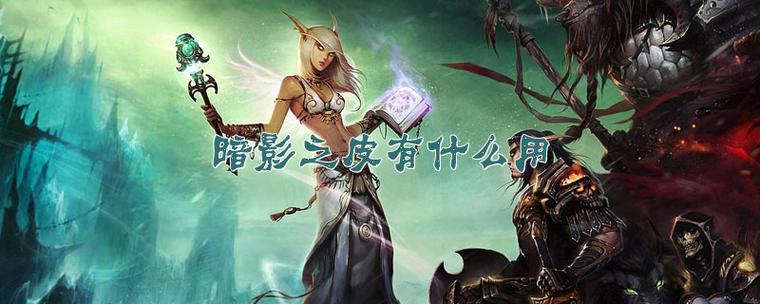 暗影之皮有什么用图标