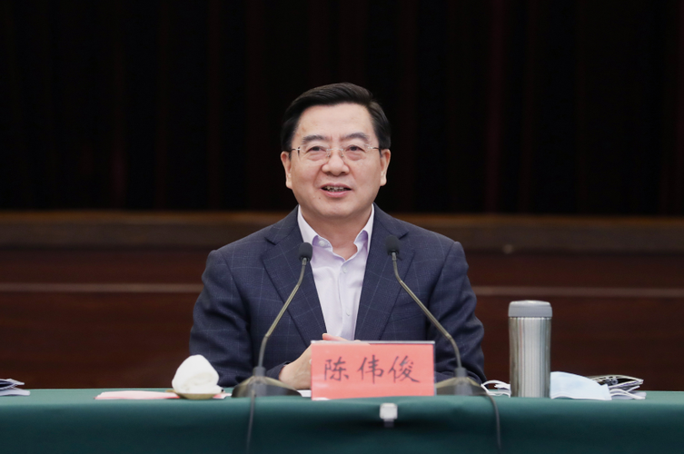 陈伟俊无罪出来了吗视频截图