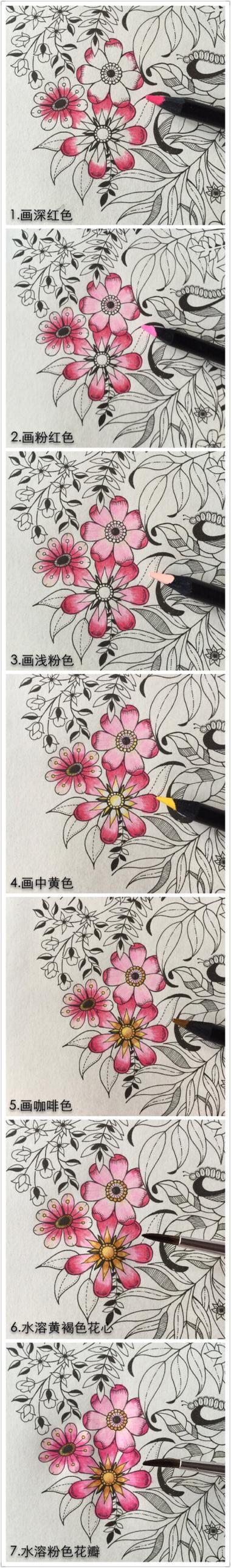 秘密花园涂色教程大全截图