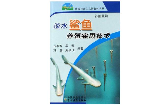 鲨鱼能养吗图标