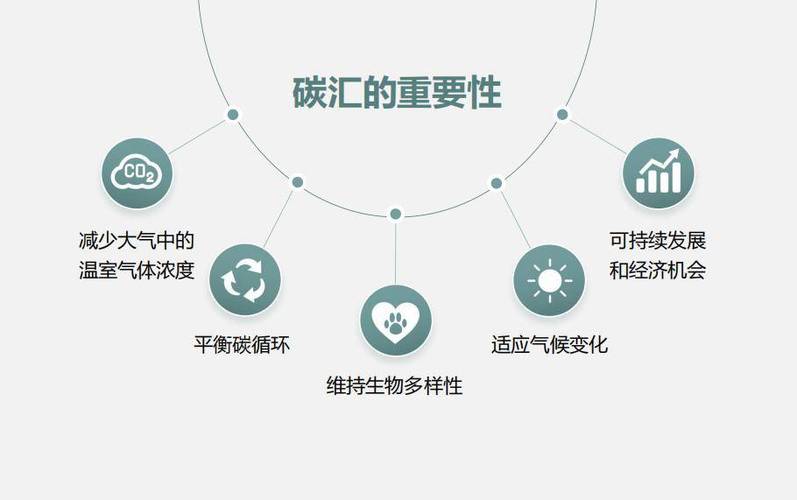 净碳汇是什么意思图标