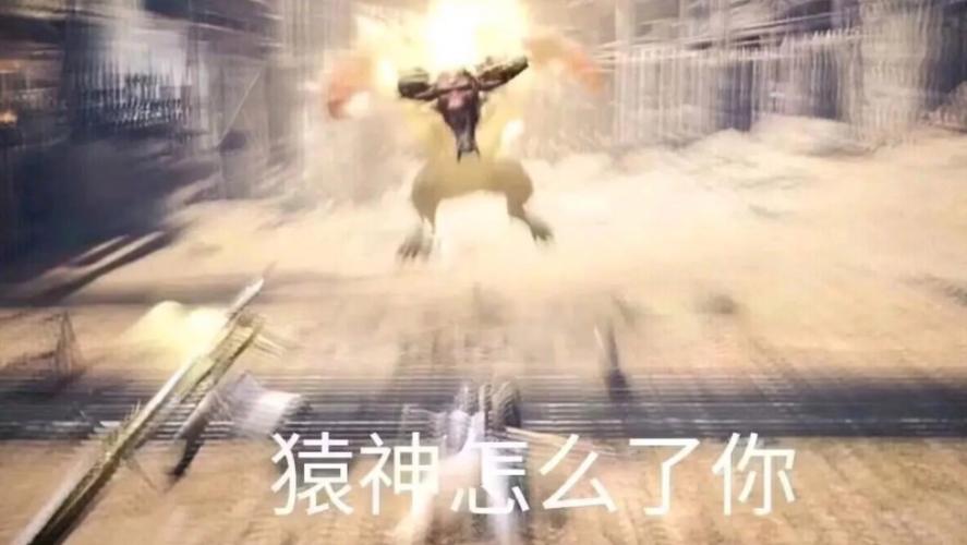 王八拳派生王八拳金狮子图标