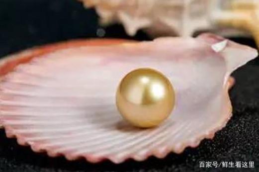 天然珍珠会褪色吗图标