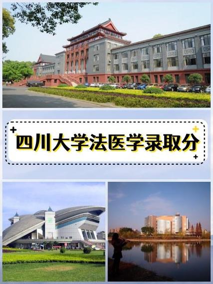 四川大学邮箱登录入口学生