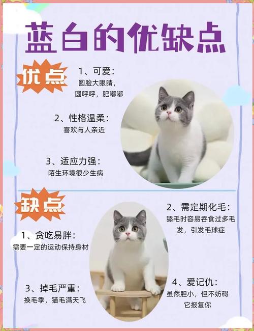 英短优缺点有哪些图标