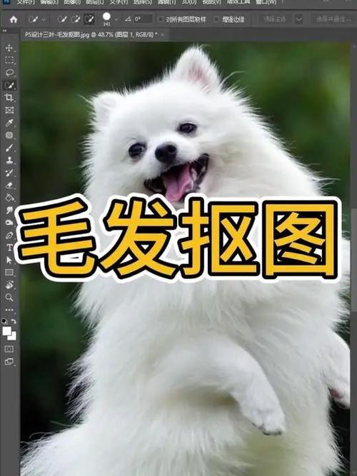 ps抠图怎么抠出来图标